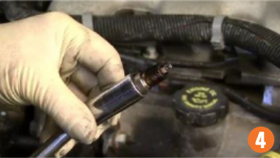 Autolite 3136 Copper Spark Plug | Autolite